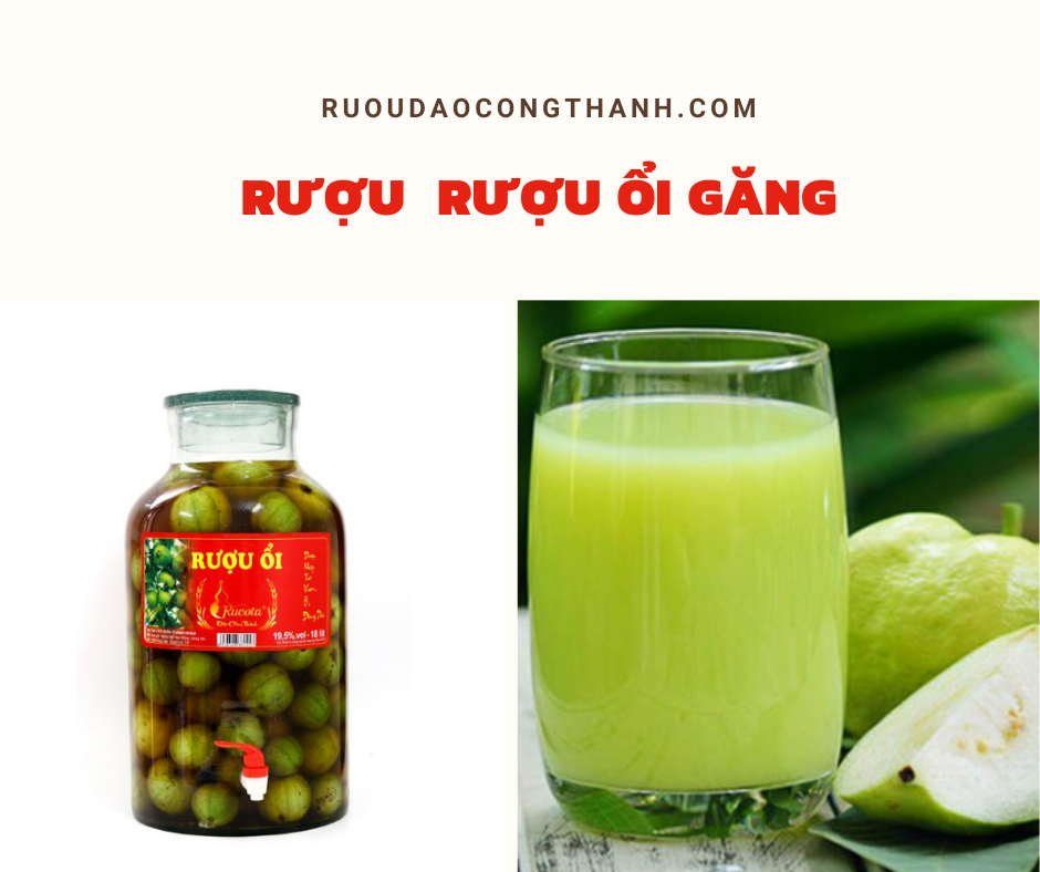 Cách Ngâm Rượu Ổi Găng Tại Nhà Chuẩn Nhất!